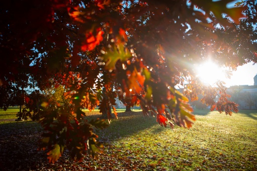 Falling for Buffalo: A Guide to Autumn Adventures - School of Law ...