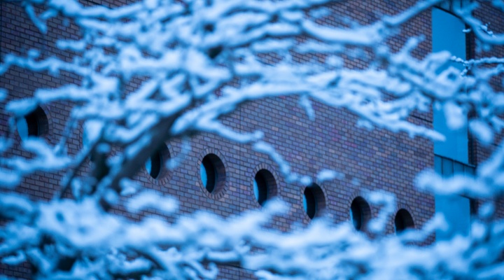 Current JD, LLM and JSD Students - School of Law - University at Buffalo